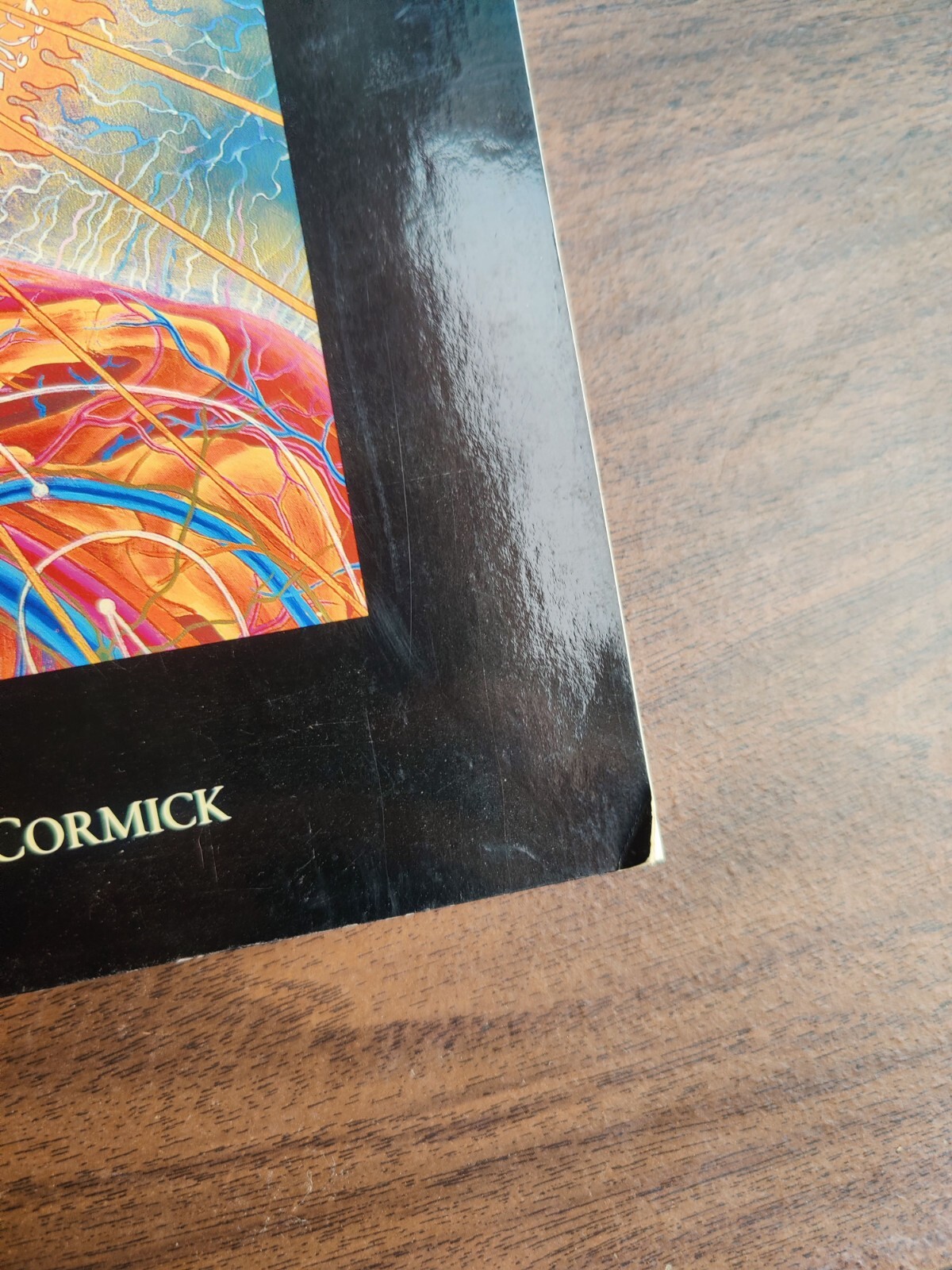 Sacred Mirrors The Visionary Art of Alex Grey 9780892813148| eBay