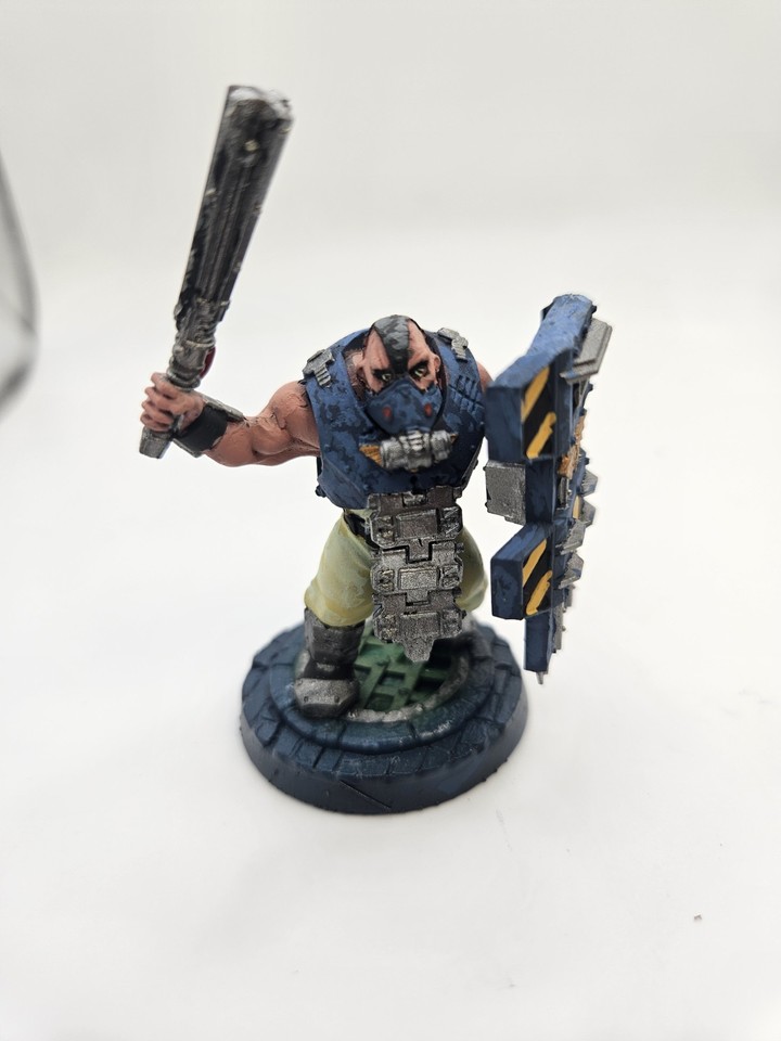 Bullgryns Fully painted Warhammer 40k Ogryns Astra Militarum Killteam ...