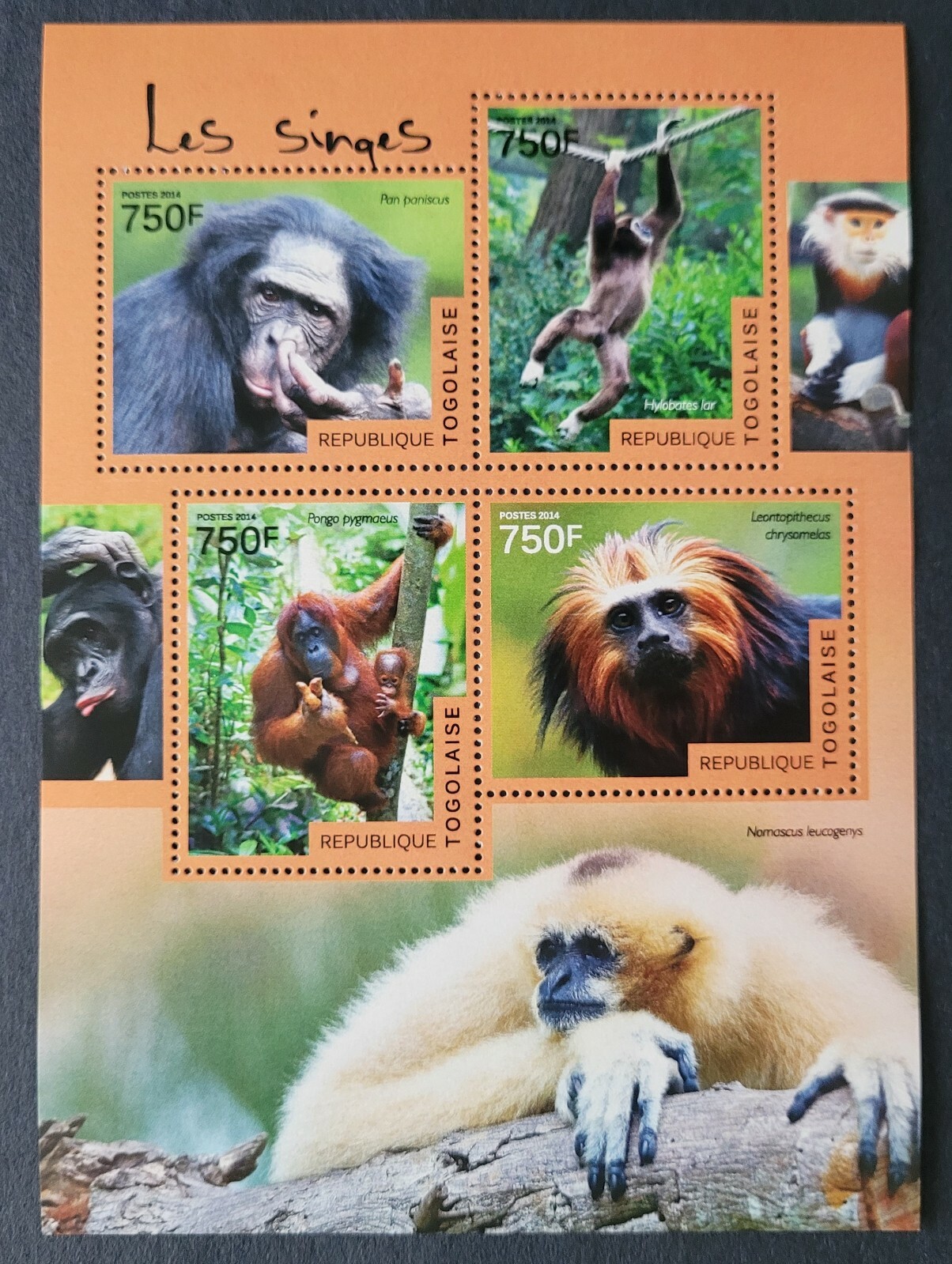Togo 2014 / Fauna - Monkeys - Bonobo, Lar Gibbon ... / 4v ms | eBay