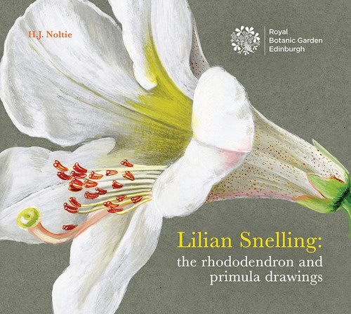 Henry Noltie Lillian Snelling: The Rhododendron and Primula Drawings ...