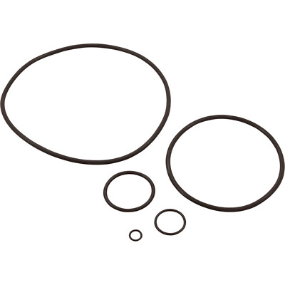 Pump O-Ring Kit, Generic Sta-Rite Dura/Max-E-Glas II | eBay