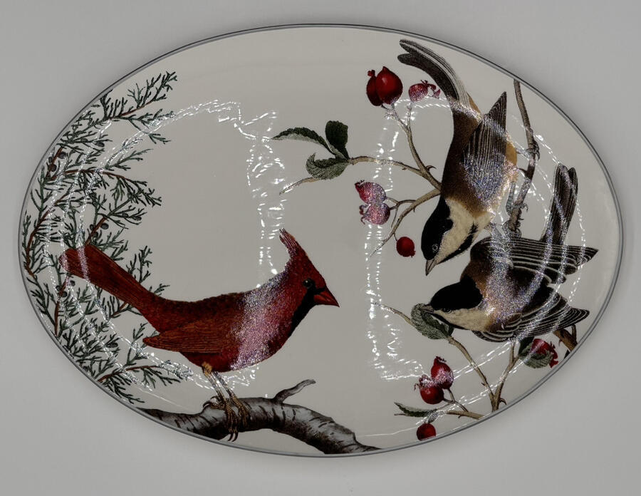 Pottery Barn Fauna Bird Habitat Artisan Bird Print Multicolor Bedding