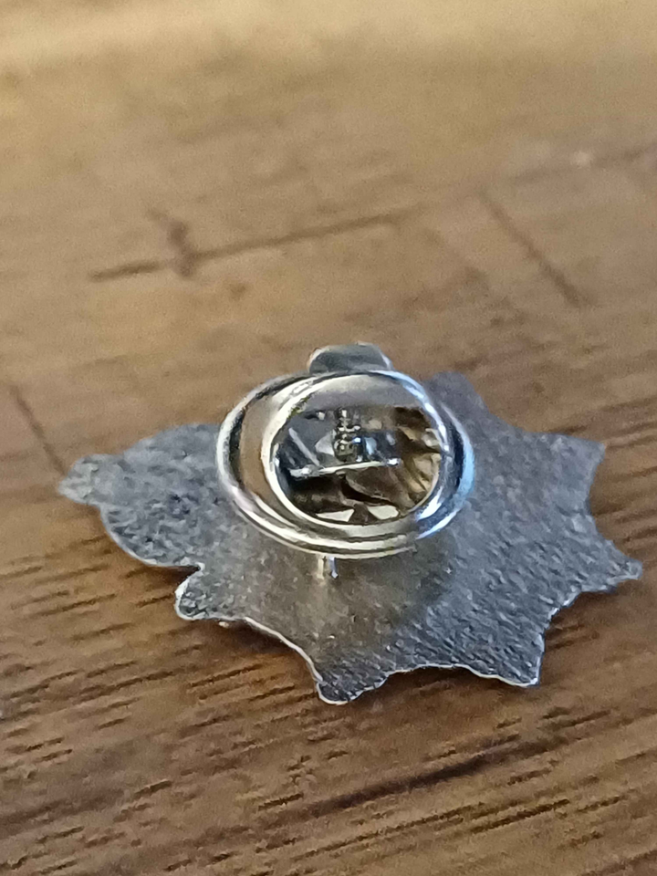 TJF (The Job's Fab) UK National Police Badge Metal Pin w/ King Charles ...