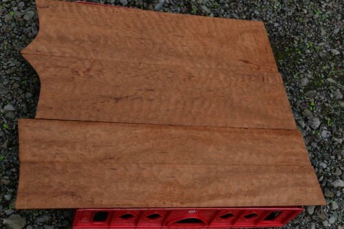 Quilted Mahogany Tree