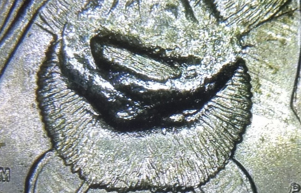 2020P AMERICAN SAMOA FACELESS OR BLIND BAT MAJOR STRUCK THROUGH MINT ...