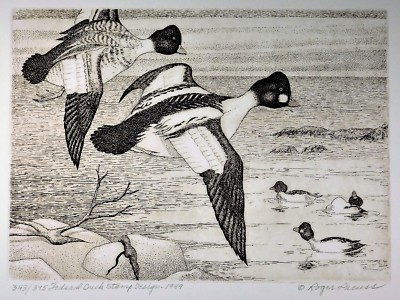 1949 Federal Duck stamp print and stamp signed by the artist Roger ...