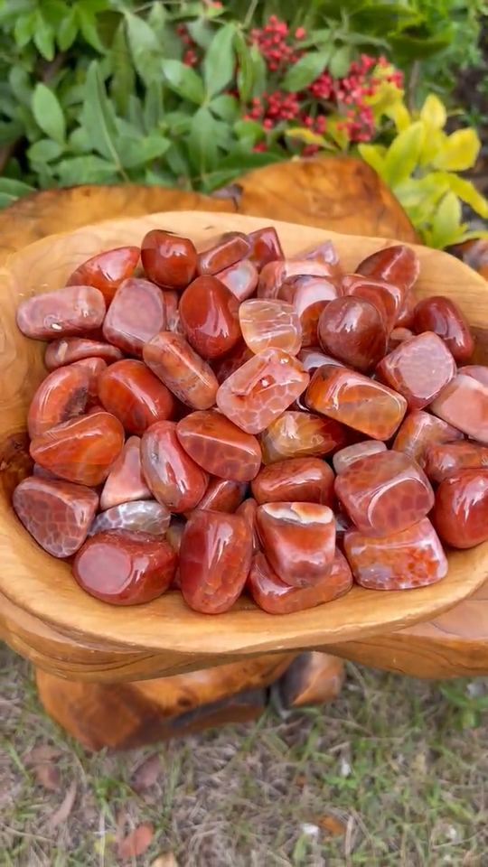 1 Fire Agate Tumbled Stone: 'A' Grade Natural Polished Crystal | eBay