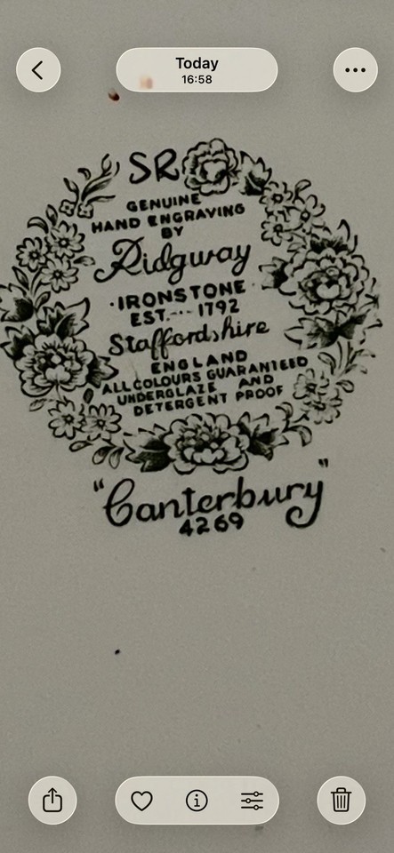 Vintage Ridgway Ironstone "Canterbury" pattern oval serving Plate | eBay UK