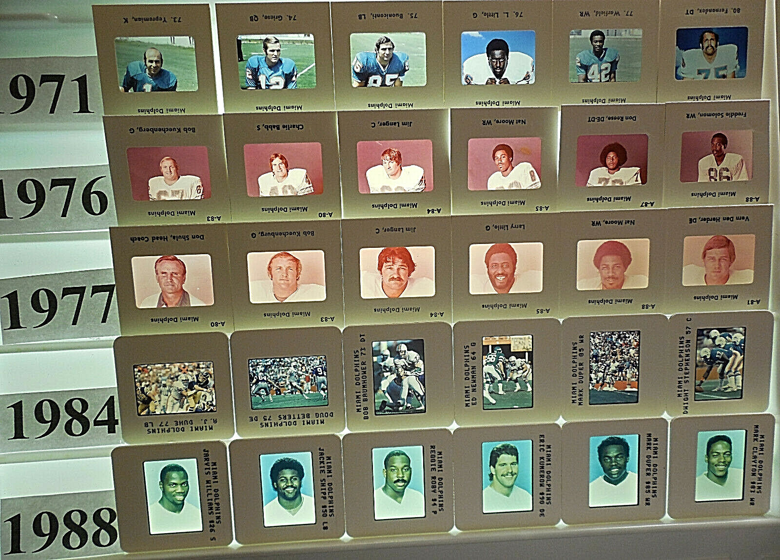 1971-88 Miami Dolphins TV card /slide team sets U PICK Griese Cefalo | eBay