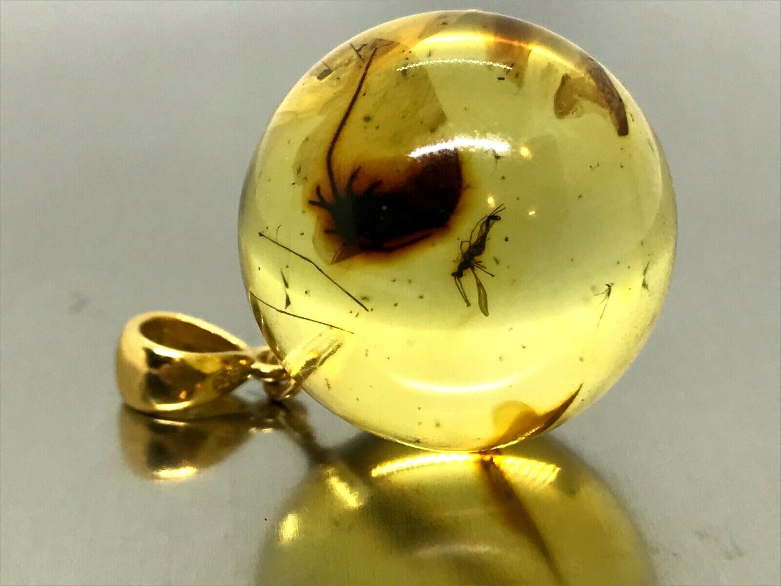 Baltic AMBER PENDANT INSECT Gift Insects Round AMBER Silver 925 Gold 6 ...
