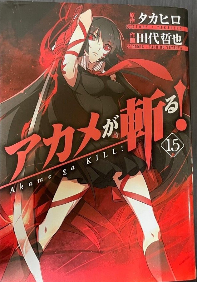 Descargar Akame Modern Gratis