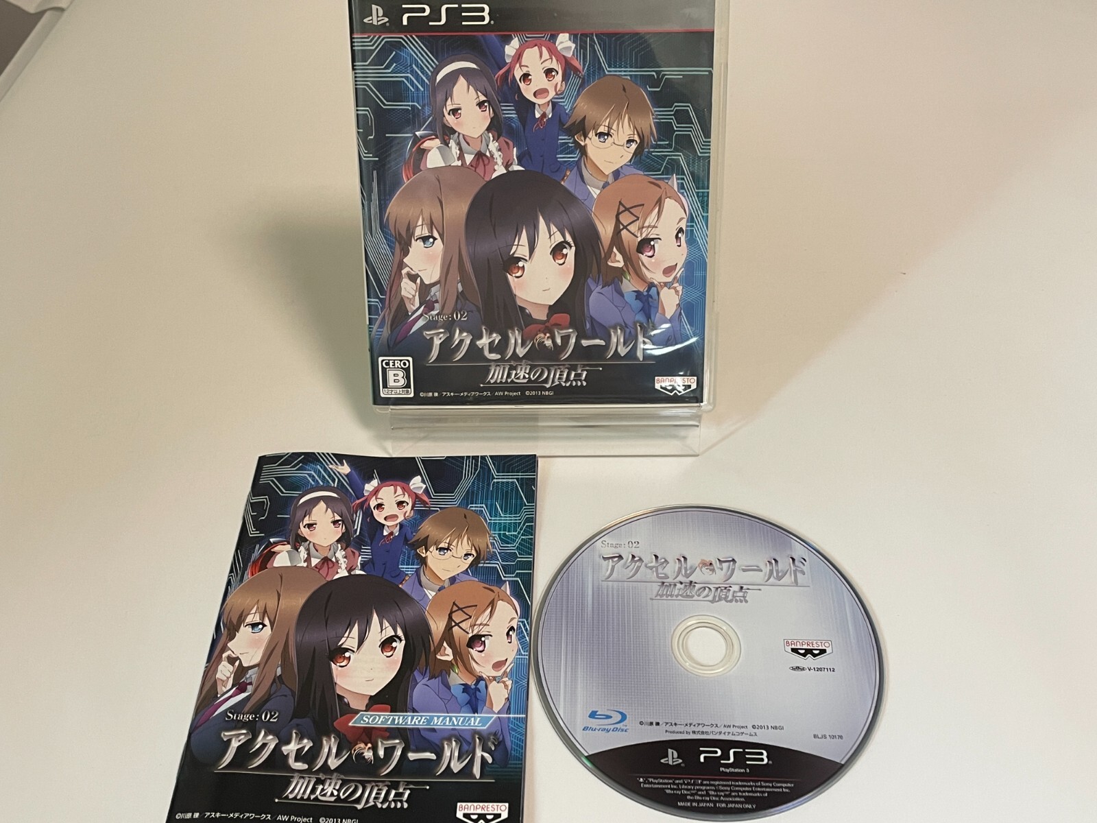 Accel World Kasoku no Chouten SONY PlayStation 3 BANDAI NAMCO Japan ...