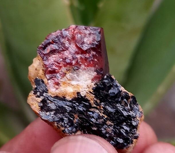 100% natural red ZIRCON crystal in matrix 17g specimen Afghanistan _ 30 ...