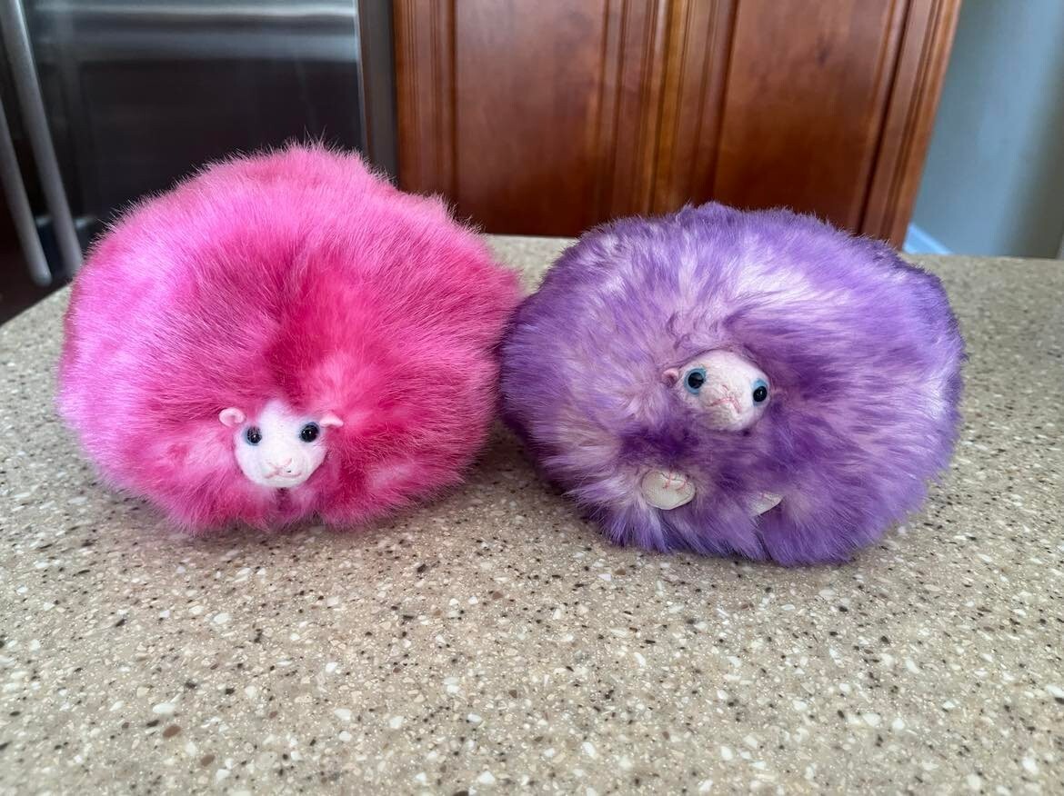 Harry Potter Pigmeo Puff Pygmy Puff | Harry Potter Wiki | Fandom