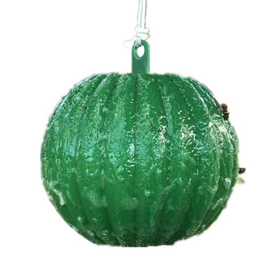 Ball Fruit Fly Catcher Flying Insect Bug Pest Gnat Traps Ball for ...