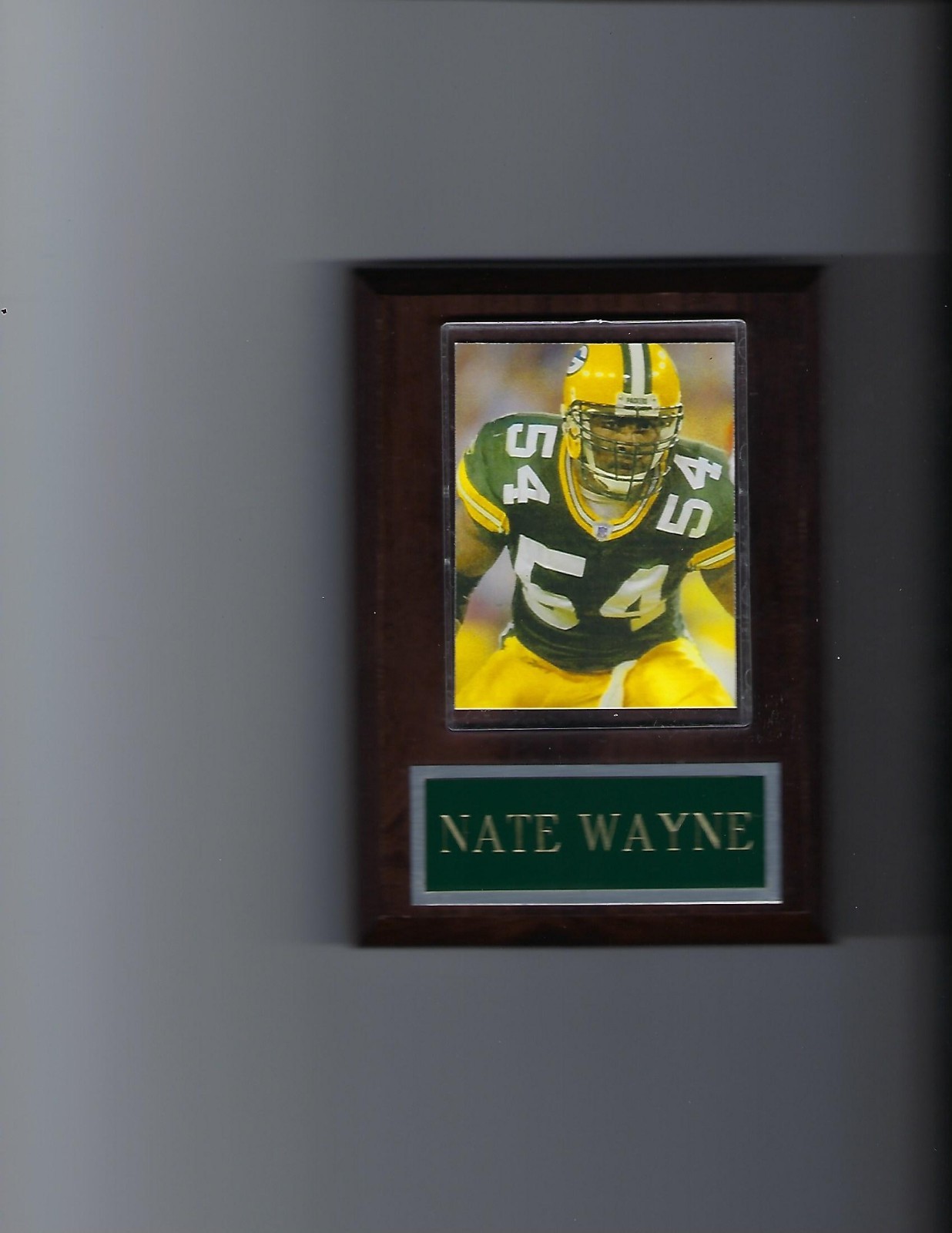 NATE WAYNE PLAQUE GREEN BAY PACKERS FOOTBALL NFL | eBay