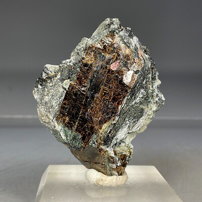 SS Rocks Lamprophyllite (Yukspor Mt, Khibiny Massif, Kola Peninsula ...