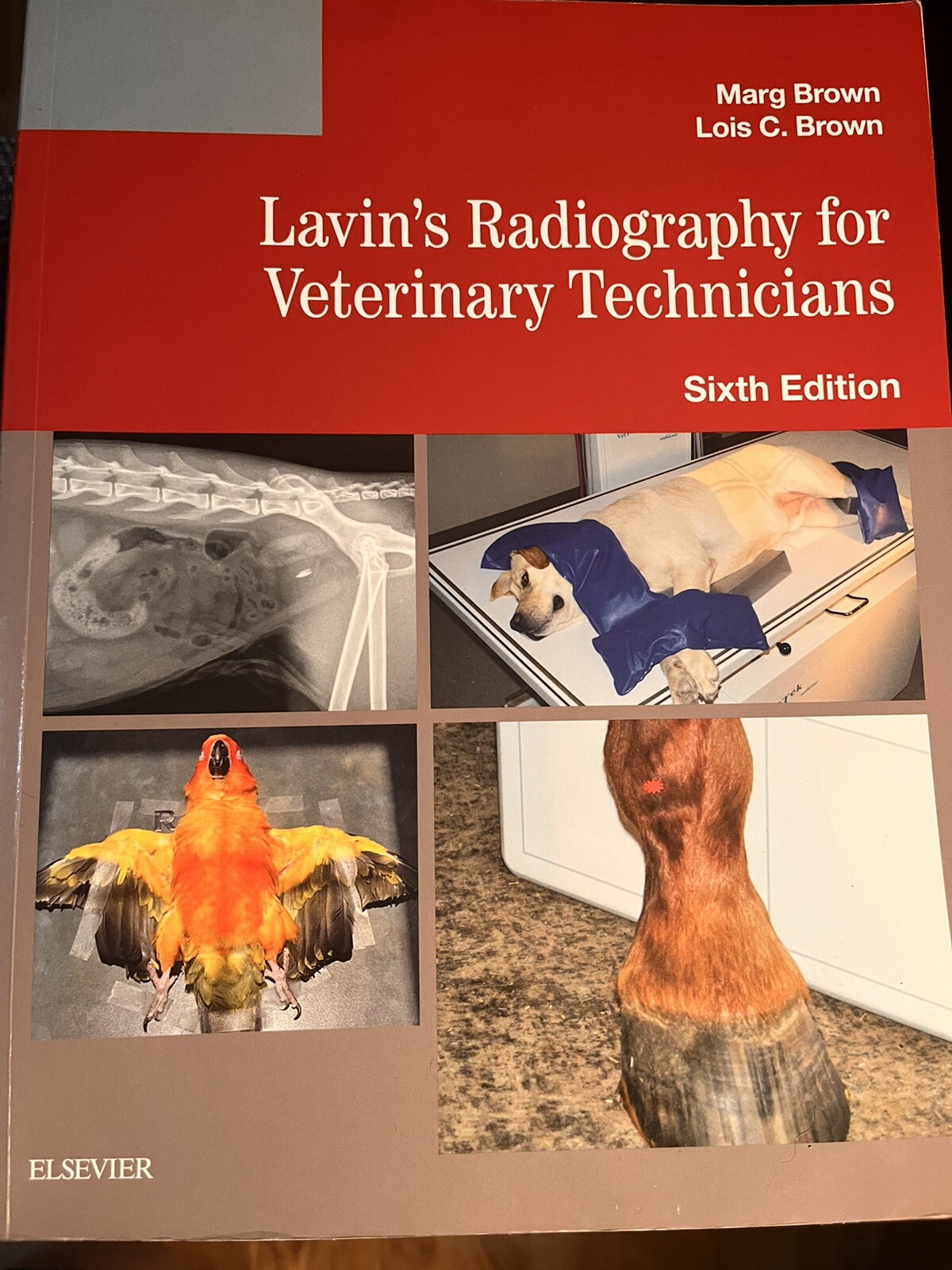 Lavrin’s Radiography For Veterinary Technicians | eBay