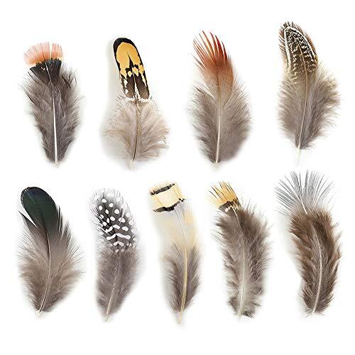 180pcs 9 Styled Natural Feathers Assorted Mixed Feathers for 9Styles ...