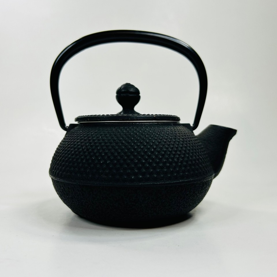 Iwachu Japanese Cast Iron Teapot with Lid Strainer Handle | eBay