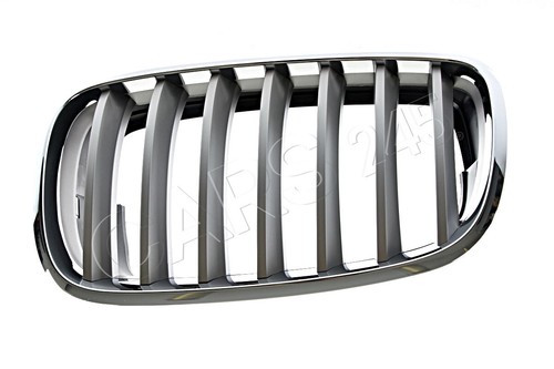 Genuine BMW E70 Front Radiator Kidney Titanium Grille Left OEM ...
