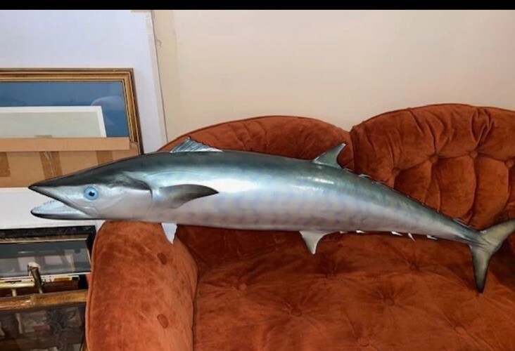 52" Kingfish Two Sided Fish Mount Replica - Quick Production | eBay