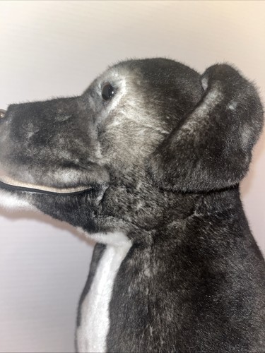 Cuddle Clones Realistic Life Like Plush Dog Terrier Lab Mix Stuffed ...