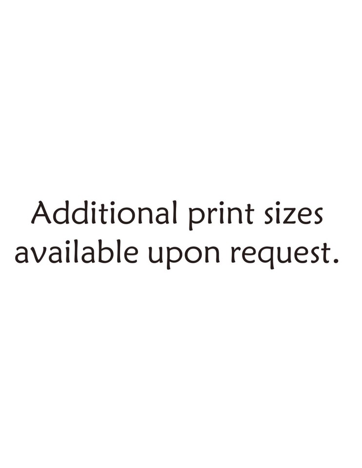 Handsome Male Nude Physique Gay Men Limited Edition Photo 8.5x11 1.26 ...