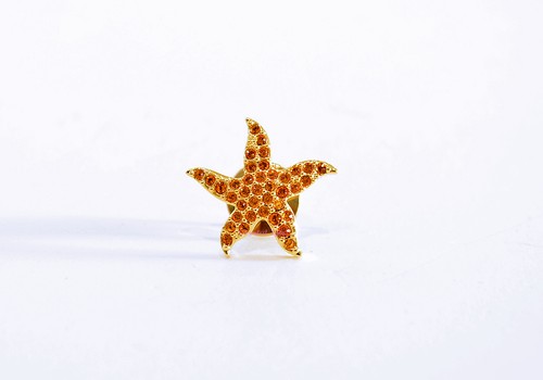 Swarovski Crystal 2005 SCS Event Topaz Golden Starfish Tack Pin 828113 ...