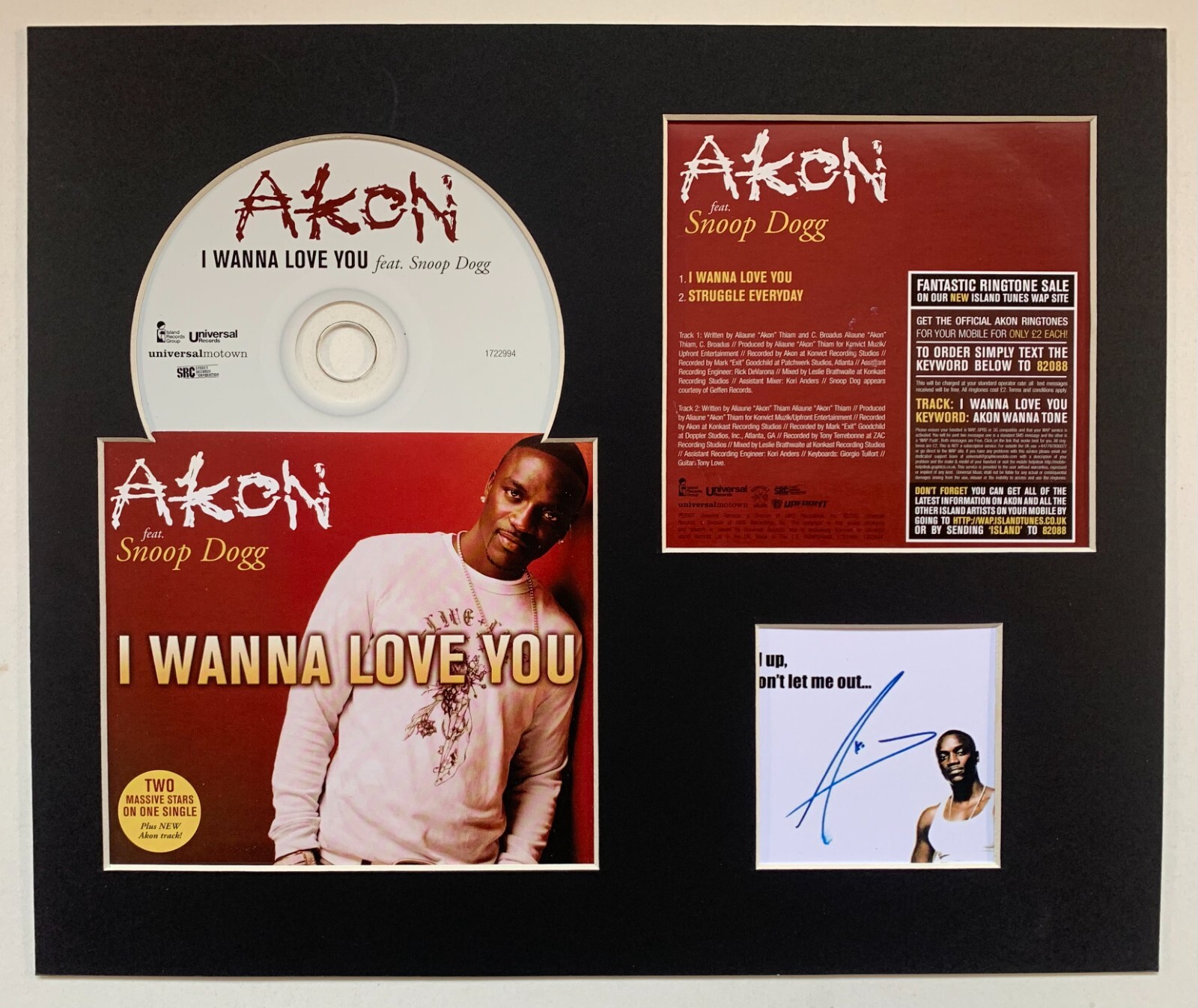 AKON - Signed Autographed - I WANNA LOVE YOU - Album Display | eBay