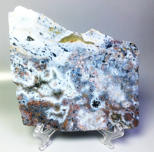 Best Natural Polished Ocean Jasper Agate Crystal Slice Reiki Stone ...