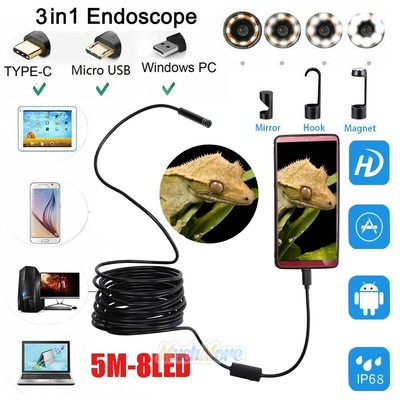 Endoscopes - Light Guide