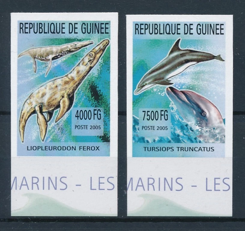Prehistoric Dolphins