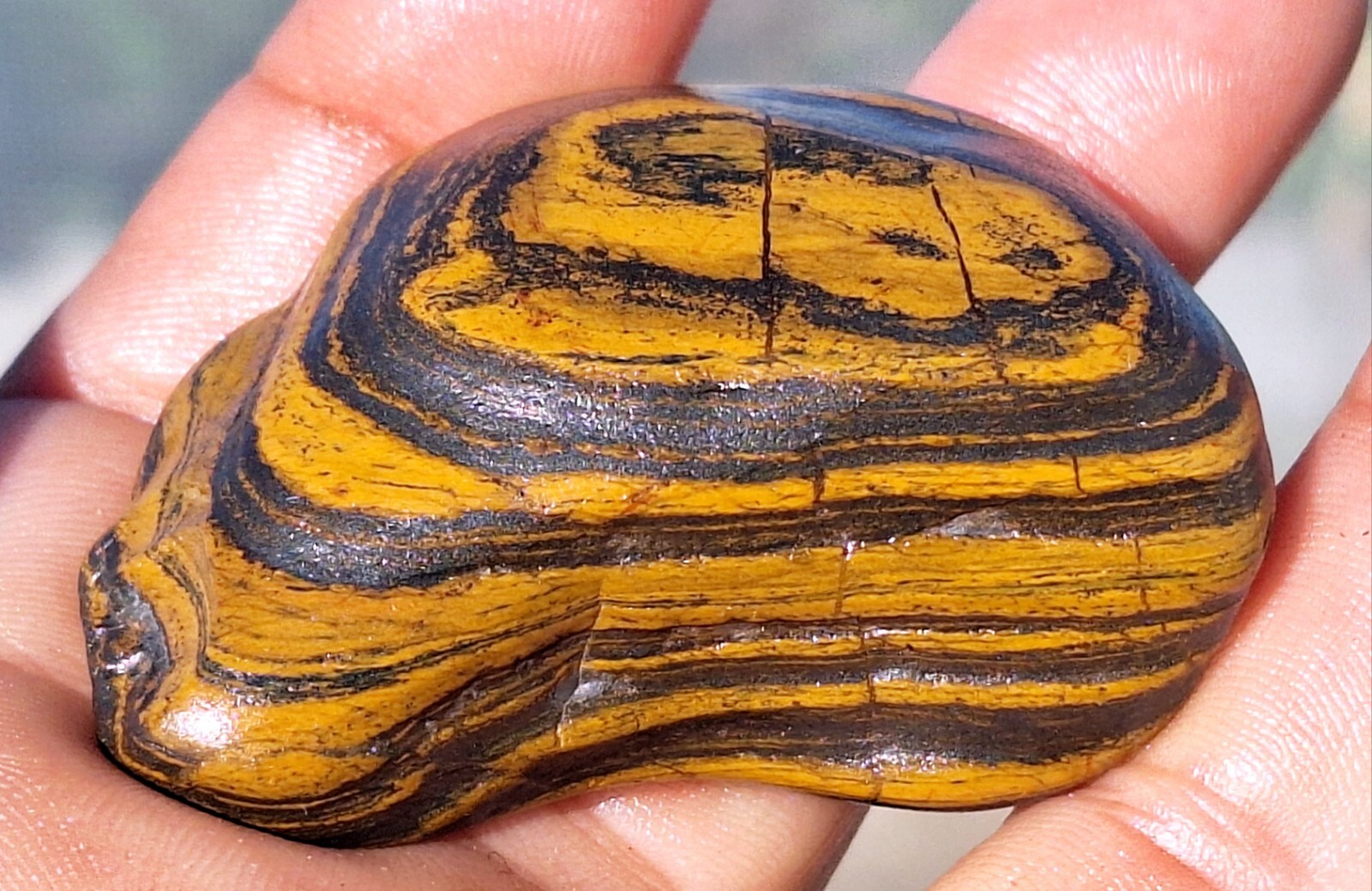 A8 Genesis Stone Magnetic Banded Ironstone BIF Wyoming Healing therapy ...