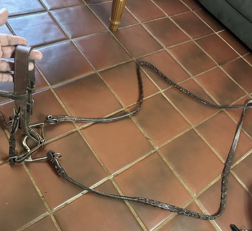 Western horse Tack Set With Headstall/Bridle, Bit, And Reins | eBay