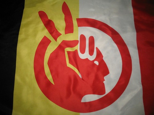 2x3 Ft American Indian Movement Flag Native American Rights Protest ...