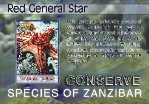 Tanzania 2006 - Species of Zanzibar, Red General Starfish - S/S - 2441 ...