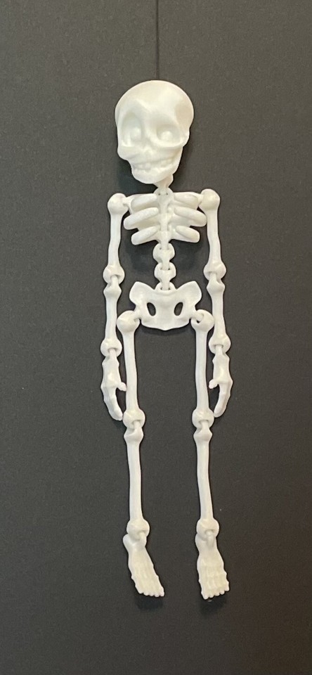 Articulated Skeleton Halloween Decoration! 3d Printed Fidget Toy Party ...
