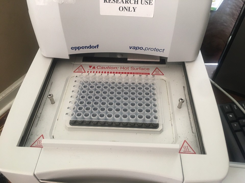 Eppendorf MasterCycler Pro S vapo.protect Thermal cycler Thermocycler ...