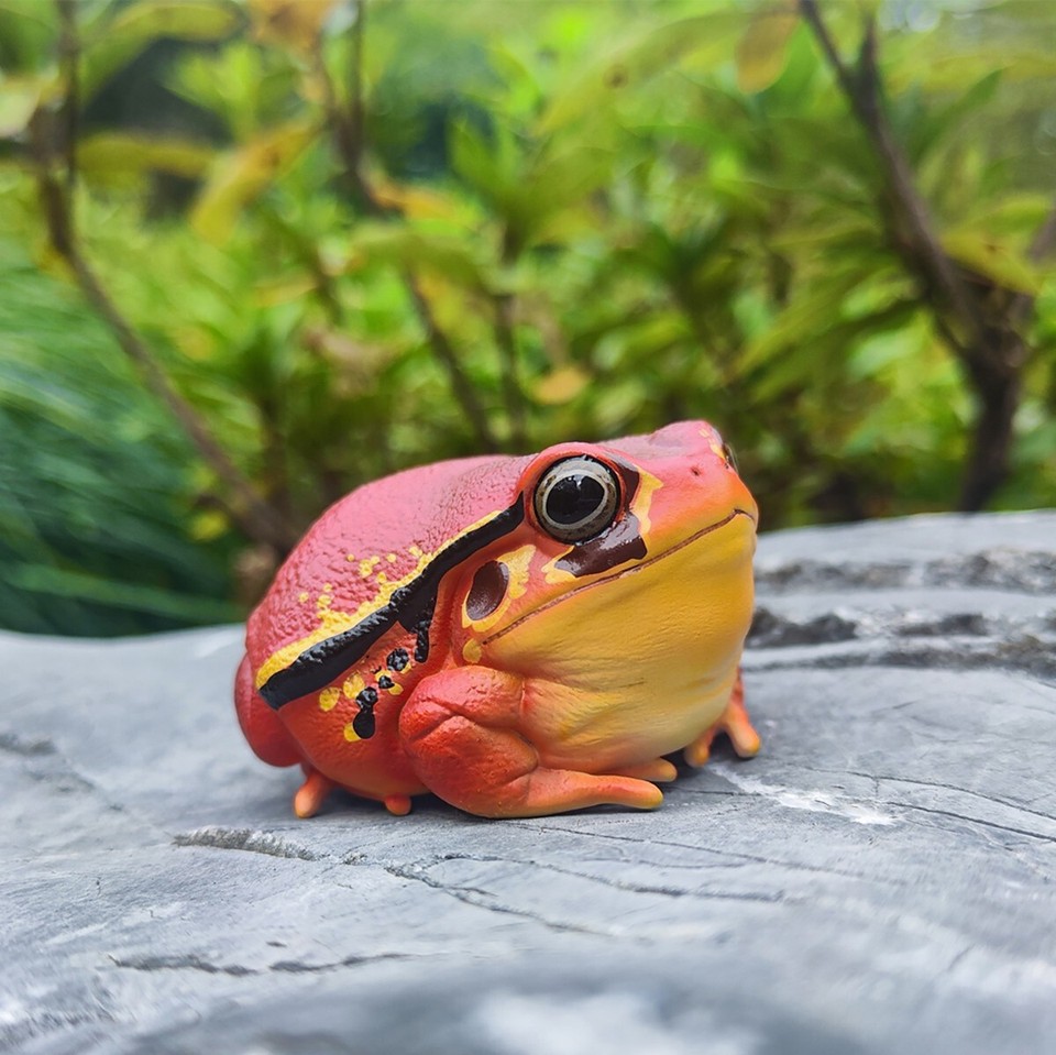 Animal Heavenly Body Tomato Frogs Mini Figure Statue Dyscophus | eBay