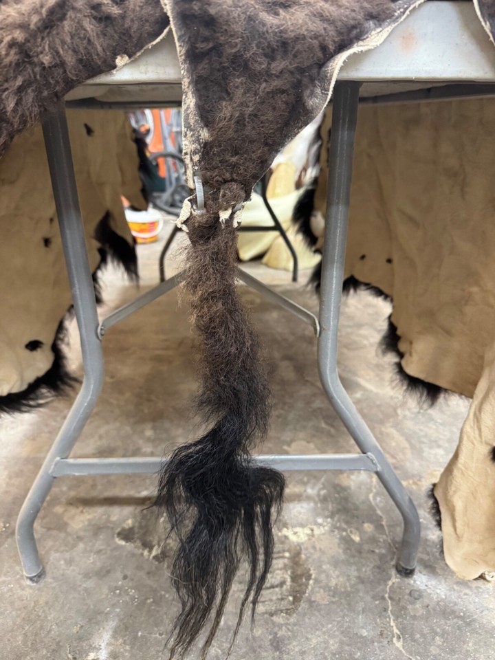 Tanned Buffalo Hide | eBay
