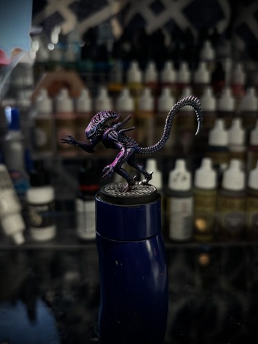 Xenomorph Alien Miniature Dungeons & Dragons Warhammer Pro Painted Mini ...