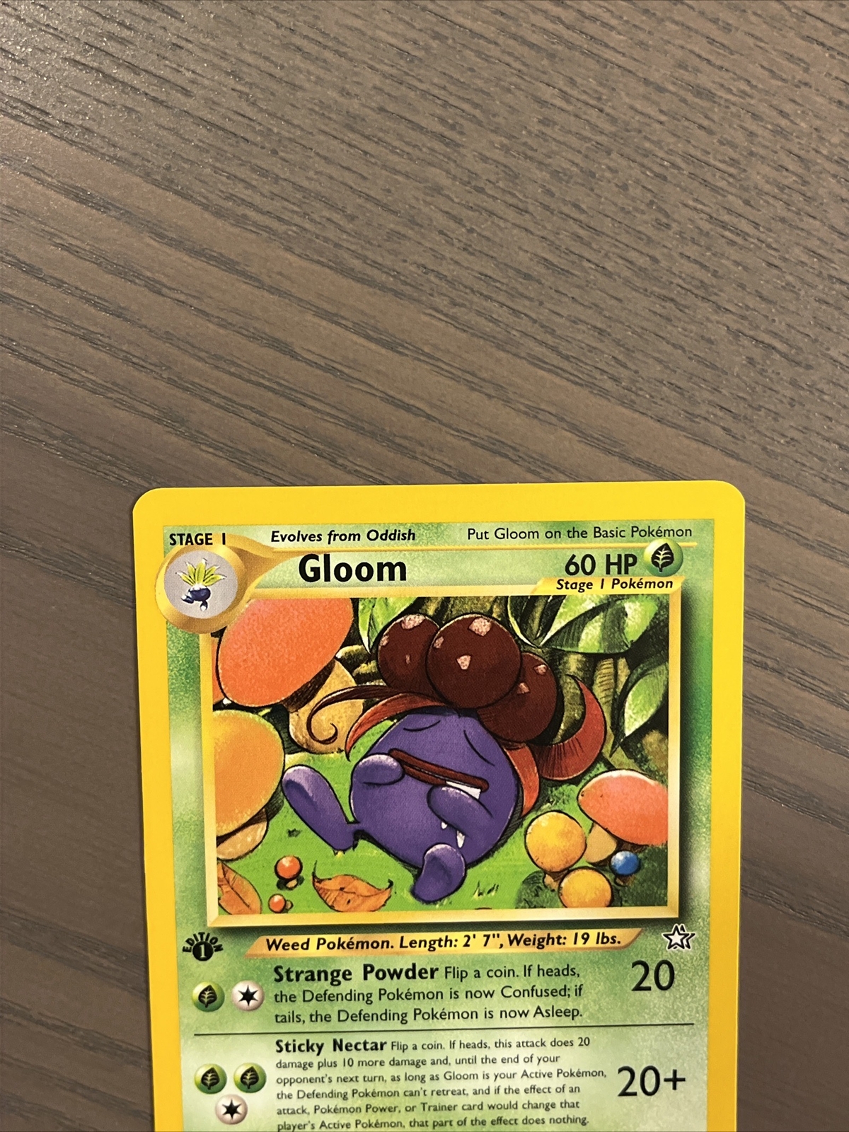 Pok%C3%A9mon+TCG+Gloom+Neo+Genesis+36+Regular+1st+Edition+Uncommon for ...