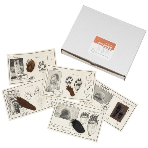 Forestry Suppliers Replitracks Hind Track Only Set | eBay