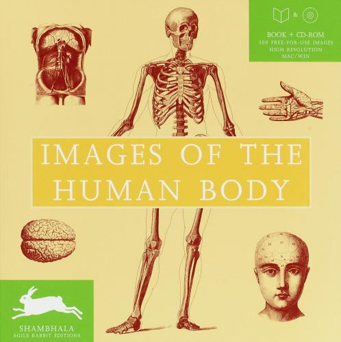 Images of the Human Body by Shambhala Publications Staff (1999, Trade ...