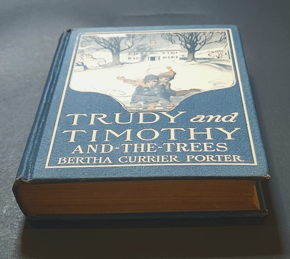 Timothy Trees's Instagram, Twitter & Facebook on IDCrawl