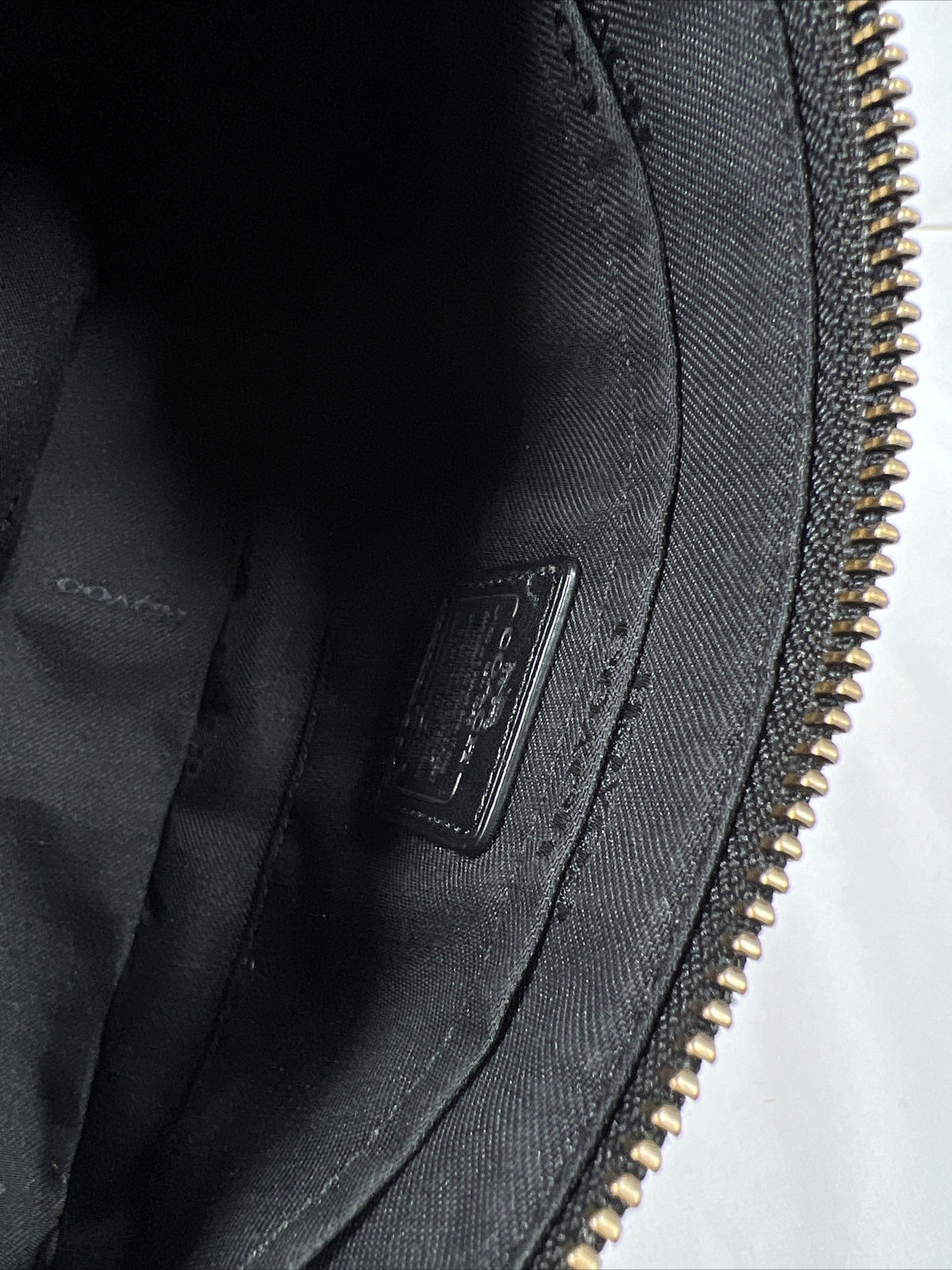 Coach Nolita Exotic Python Embossed Leather Wristlet - Gem