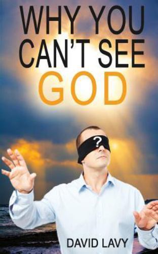 Why You Can't See God by David Lavy (2014, Trade Paperback) for sale ...