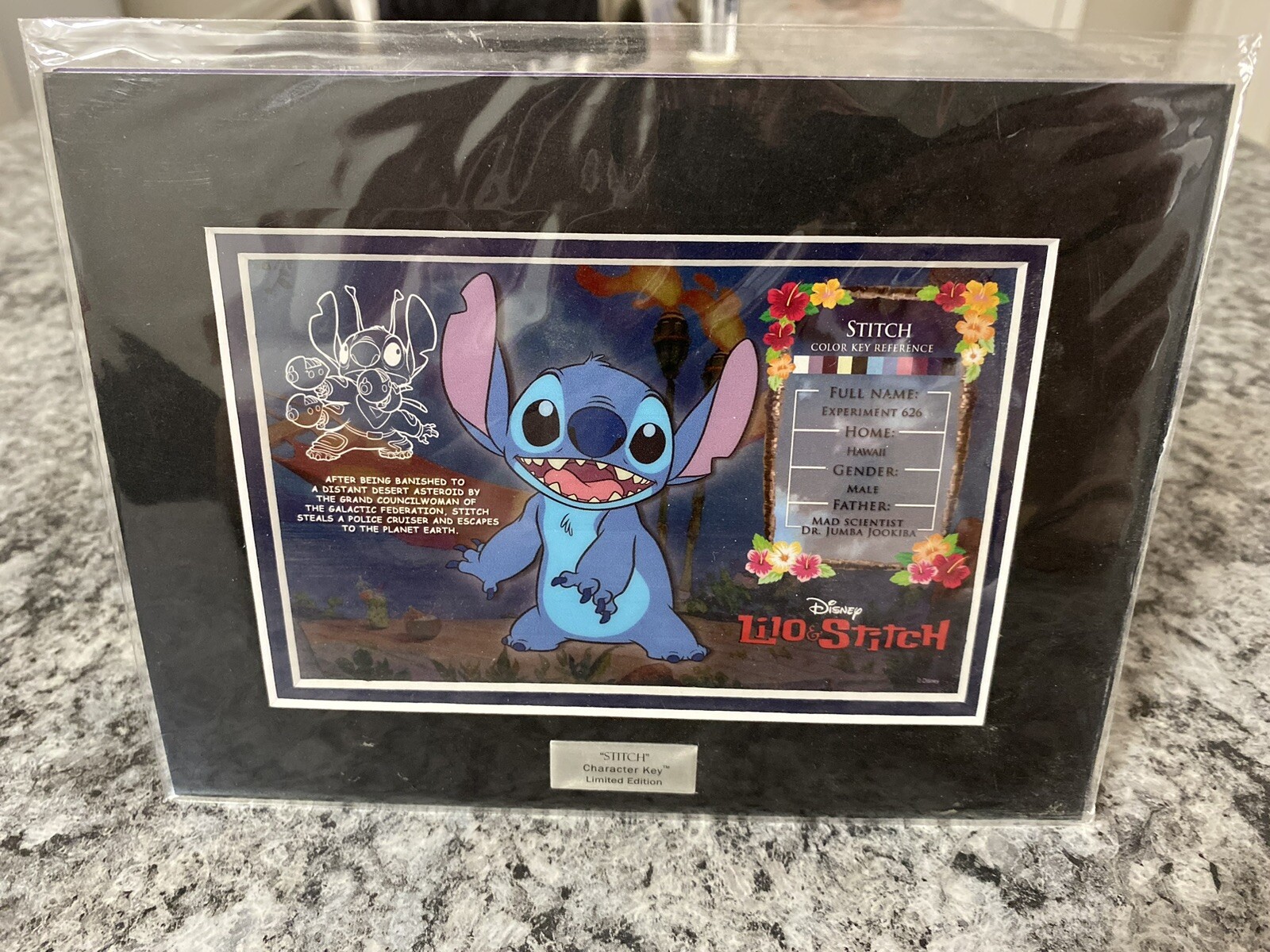 Lilo And Stitch Experiment 119