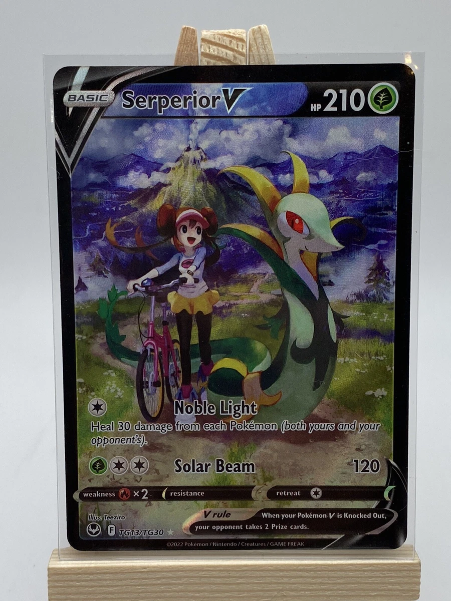 Serperior And Trainer